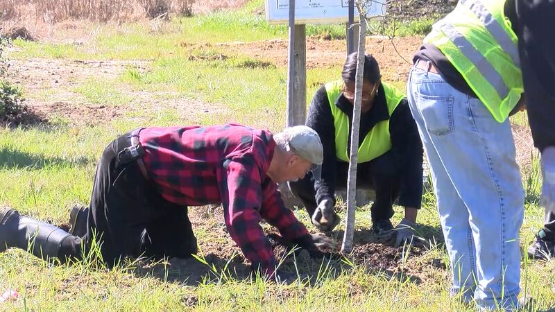 Community invited to plant trees at Nachreiner Park in NW Rochester Community invited to plant trees at Nachreiner Park in NW Rochester
